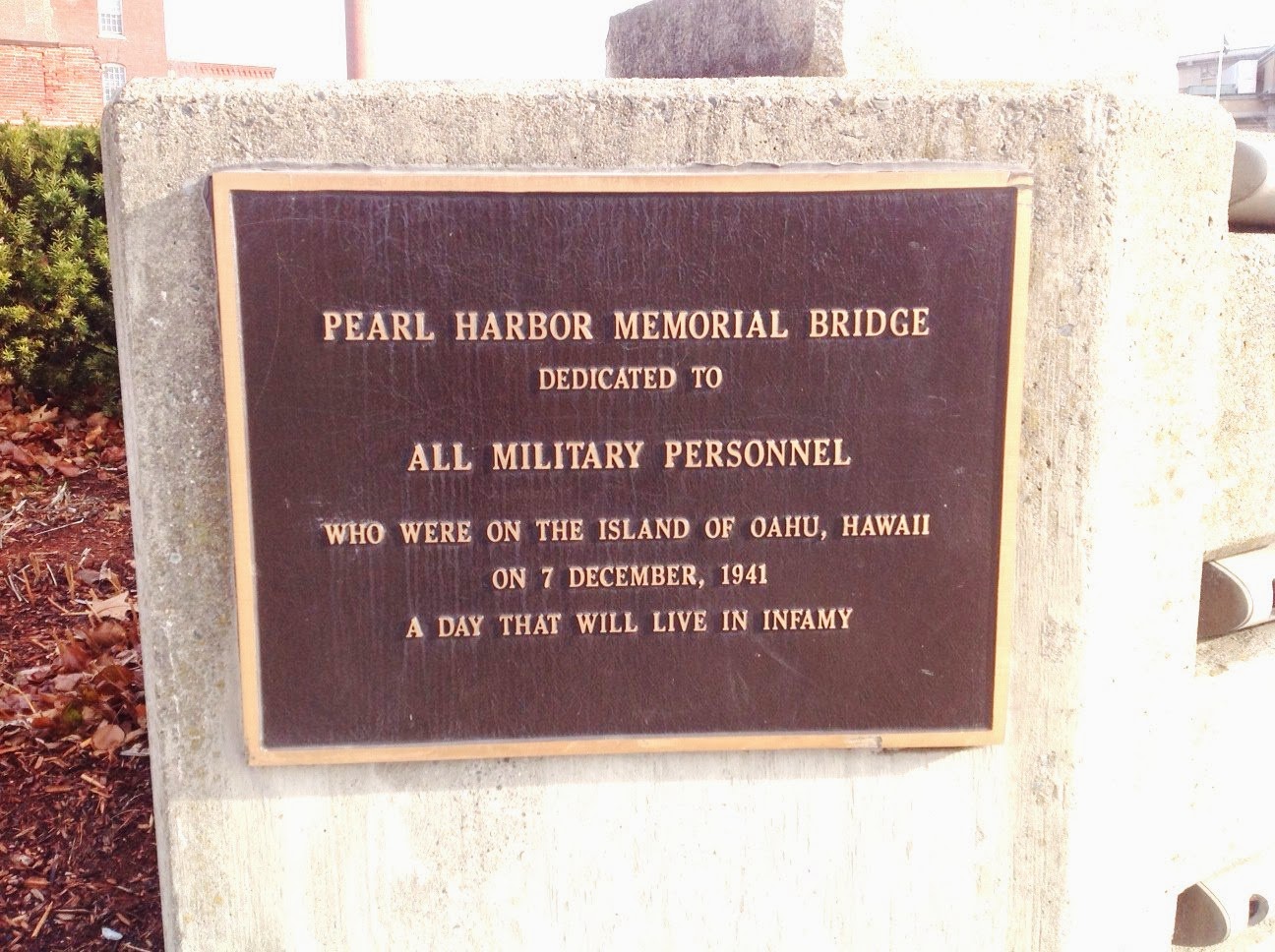 Life From The Roots: Pearl Harbor Memorial Bridge, Lowell, Massachusetts