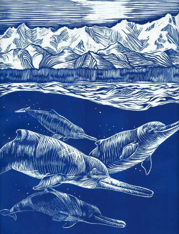 The Coastal Paleontologist: 2016 in review: Advances in marine mammal ...