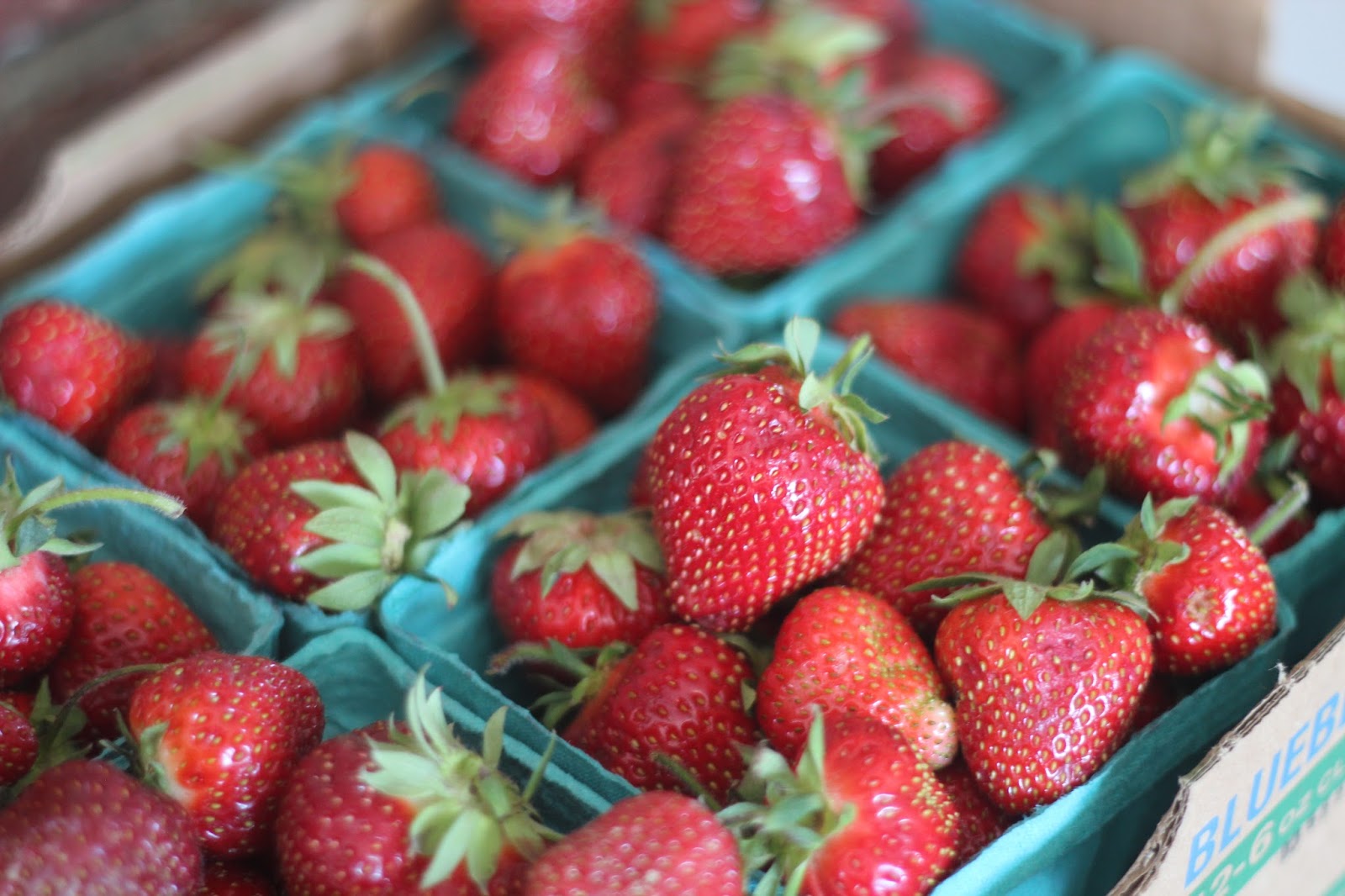 The Butcher and The Baker