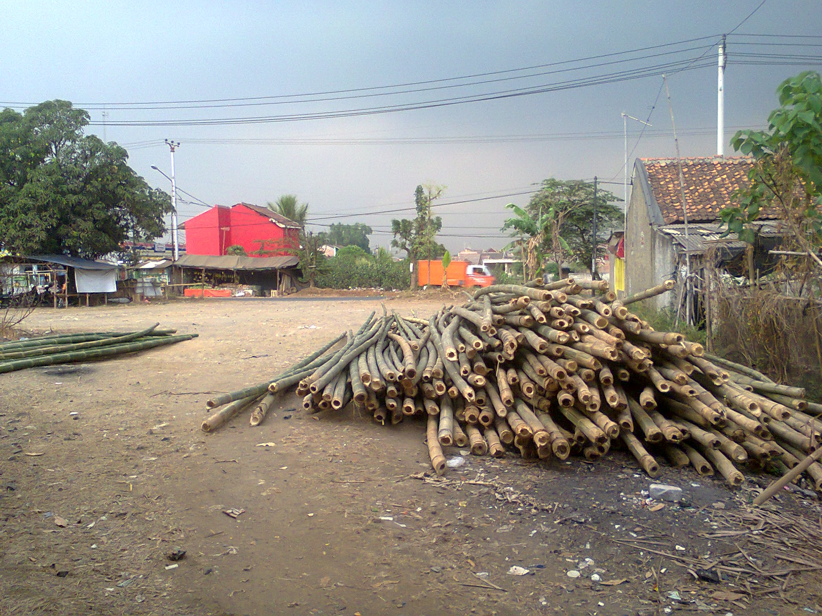 Sengon Jati: Bambu Gombong