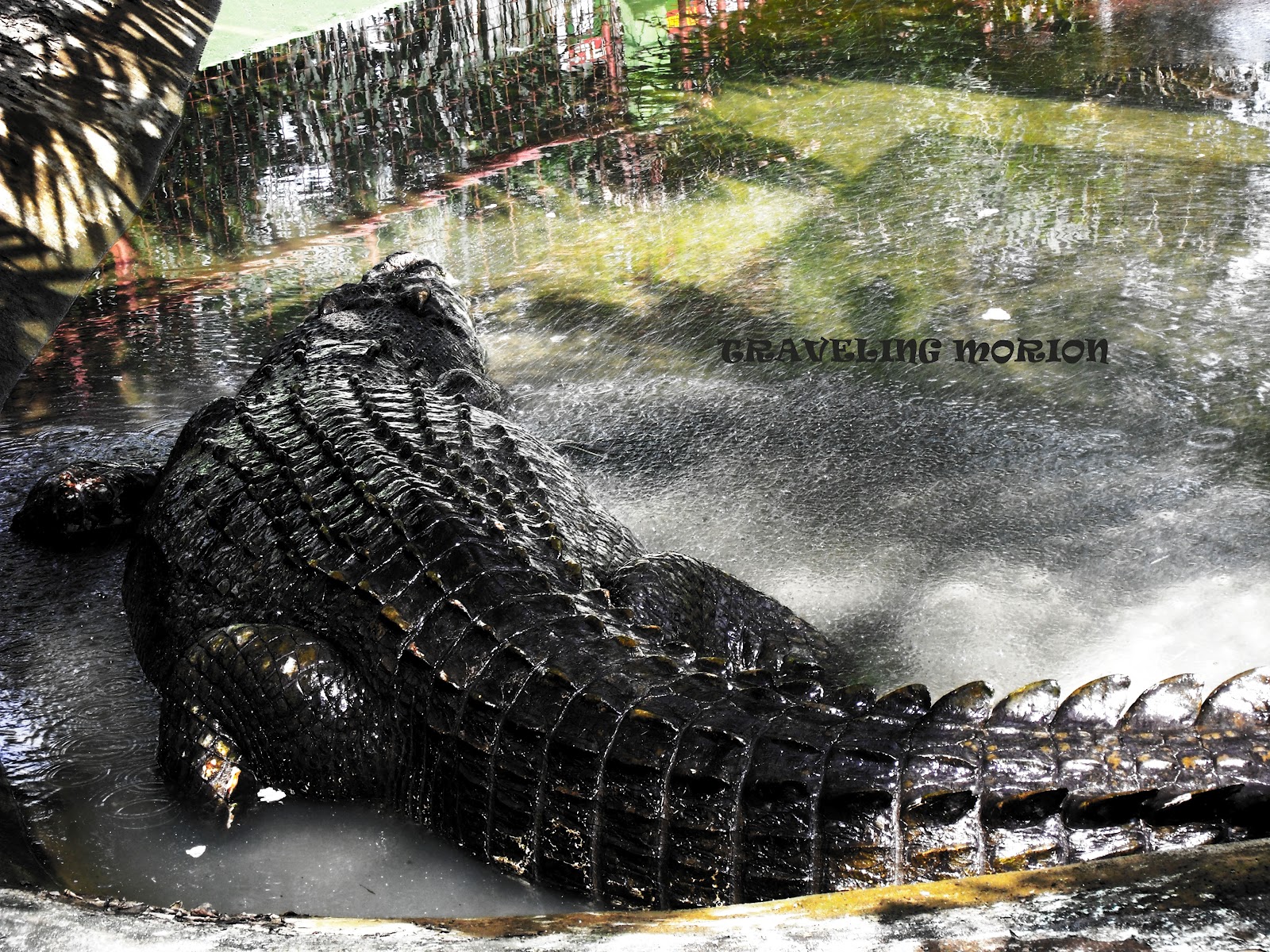 Traveling Morion | Travel + Photography: Morion's PhotoTravel Diaries ...