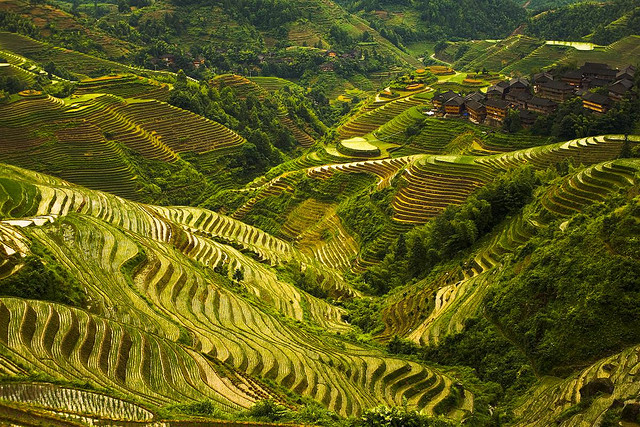 Top 11 Amazing Terrace Fields | Pos Hari Ini
