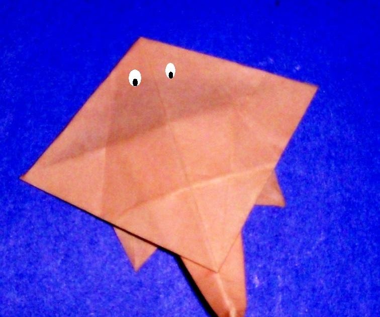 Origami: Origami Ray