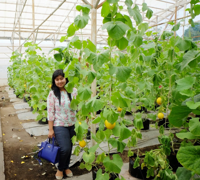 Agrowisata Bhakti Alam, Nongkojajar-Pasuruan - Food, Travel and ...