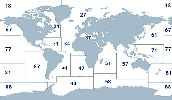 Mela Verde News: Come leggere le etichette del tonno?