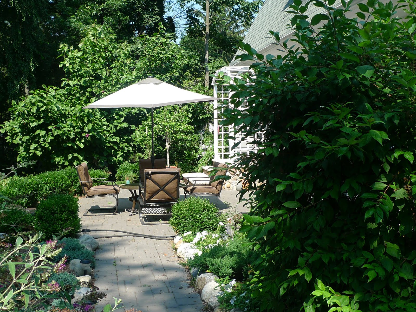 Madison Muse: Garden Escape