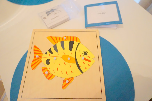 Montessori Early Zoology - "Making Montessori Ours"