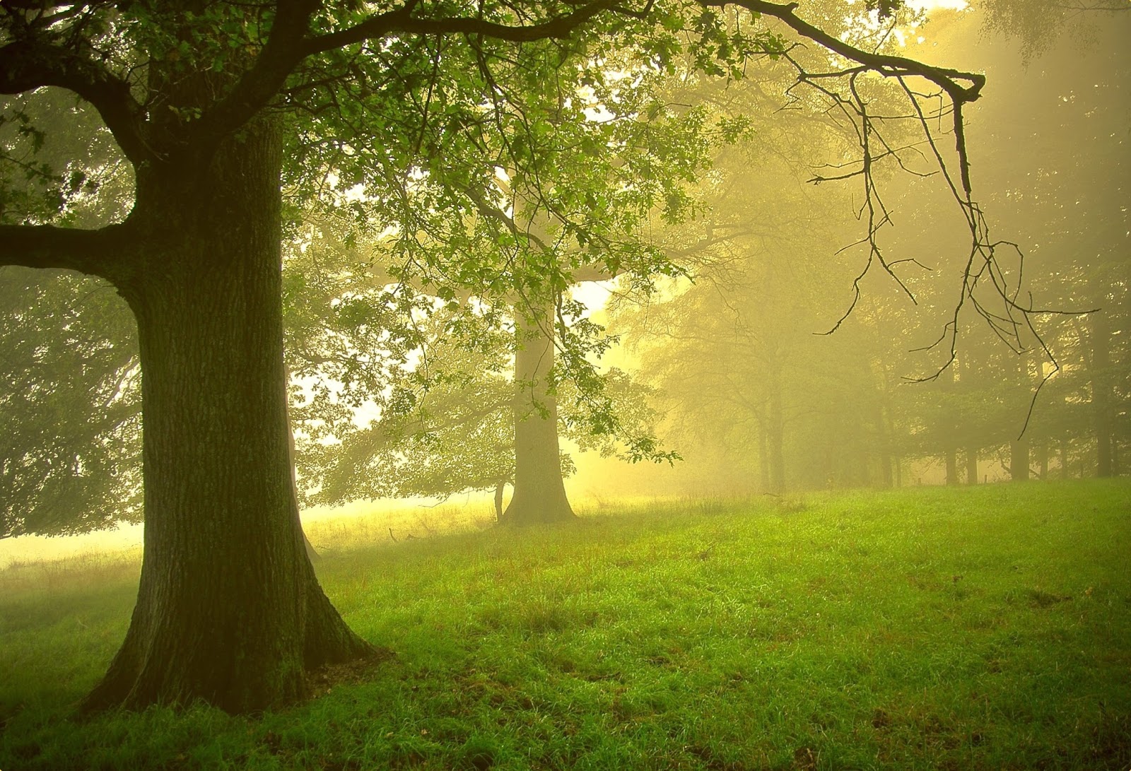 Banco de Imágenes Gratis: 24 fotografías de paisajes naturales del ...