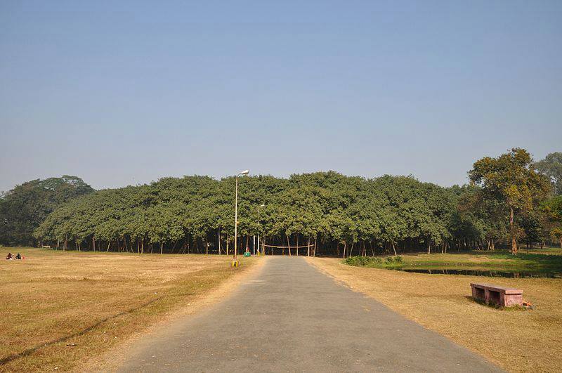 Largest Banyan tree in India at Howrah near Kolkata ~ India GK, Current ...