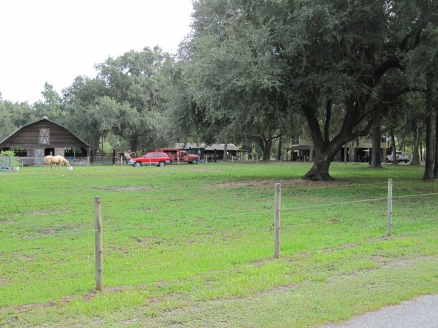 Brazilian Jewells - Africa Edition: Camp Consequence