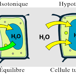 BIOLOGIE (βιολογία)