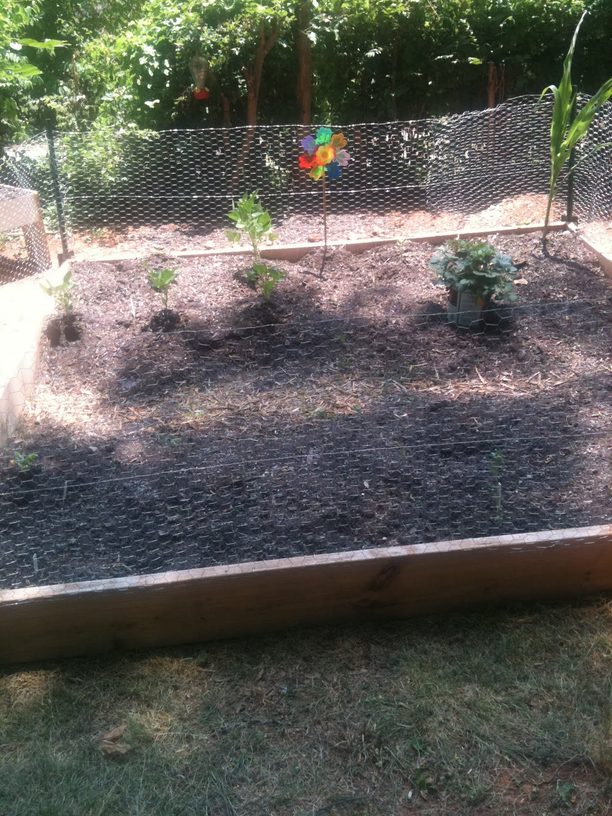 NiChrisha's Garden: Patience and Perseverance