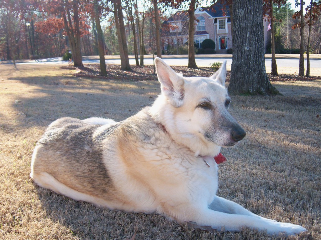 To Sandy… – Suzy's Artsy Craftsy Sitcom