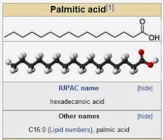 Medicine Newbie: Fatty Acids