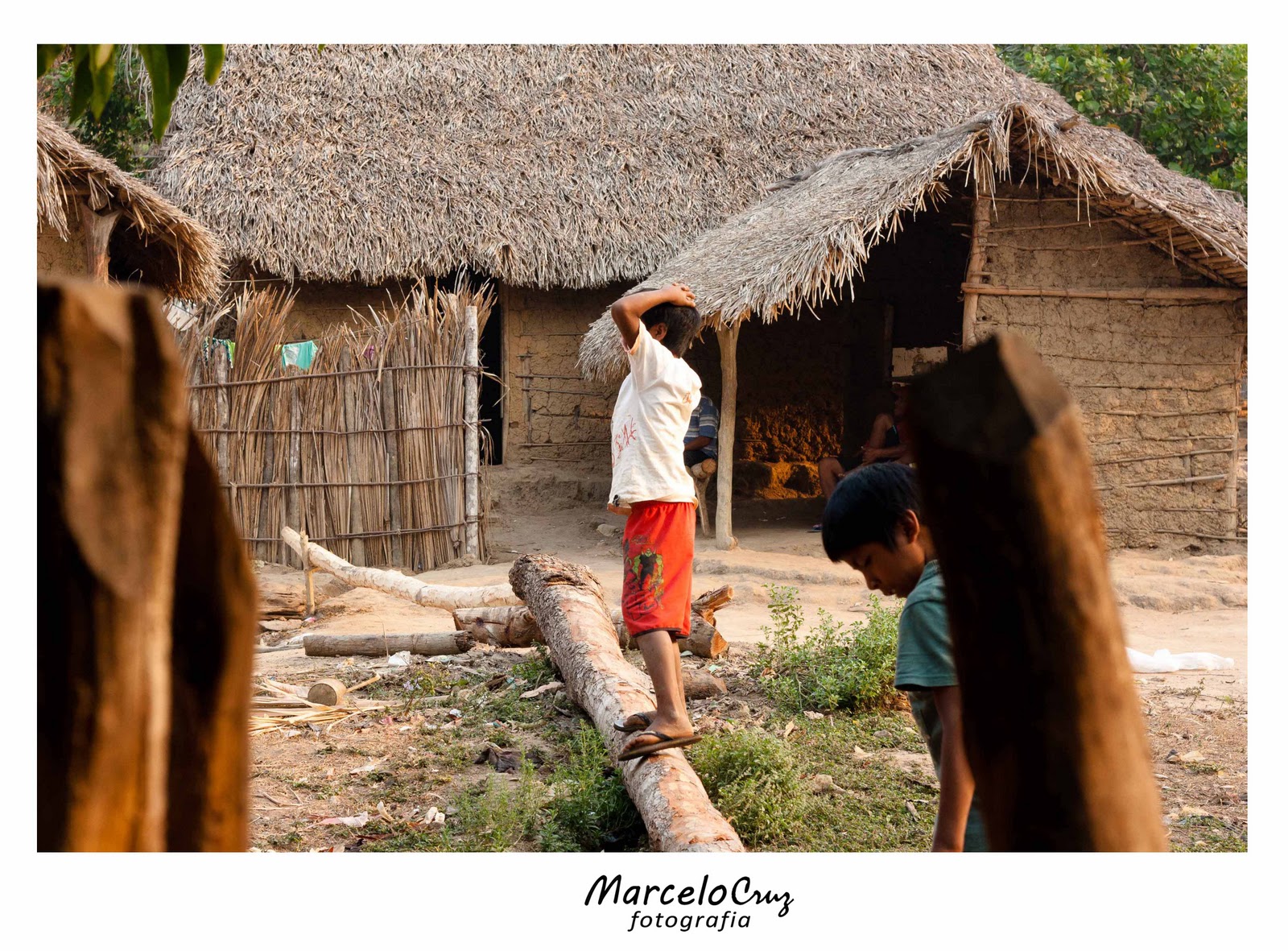 Prosas e Imagens: Awá-Guajá isolados fazem contatos com Guajajara na ...