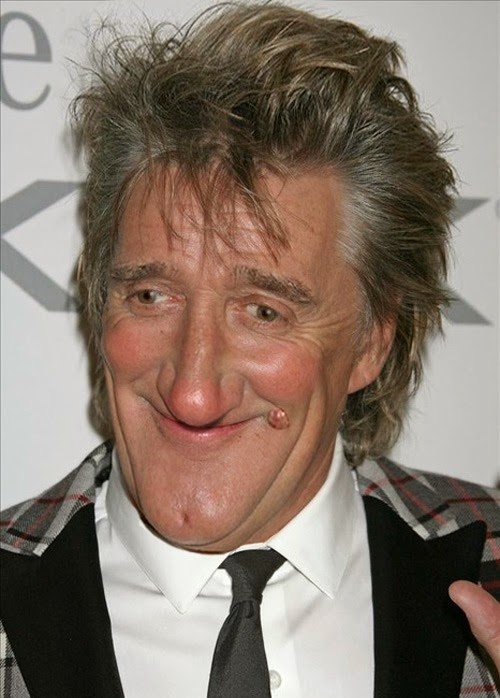 Cantantes de todos los Tiempos: Rod Stewart - Biografía