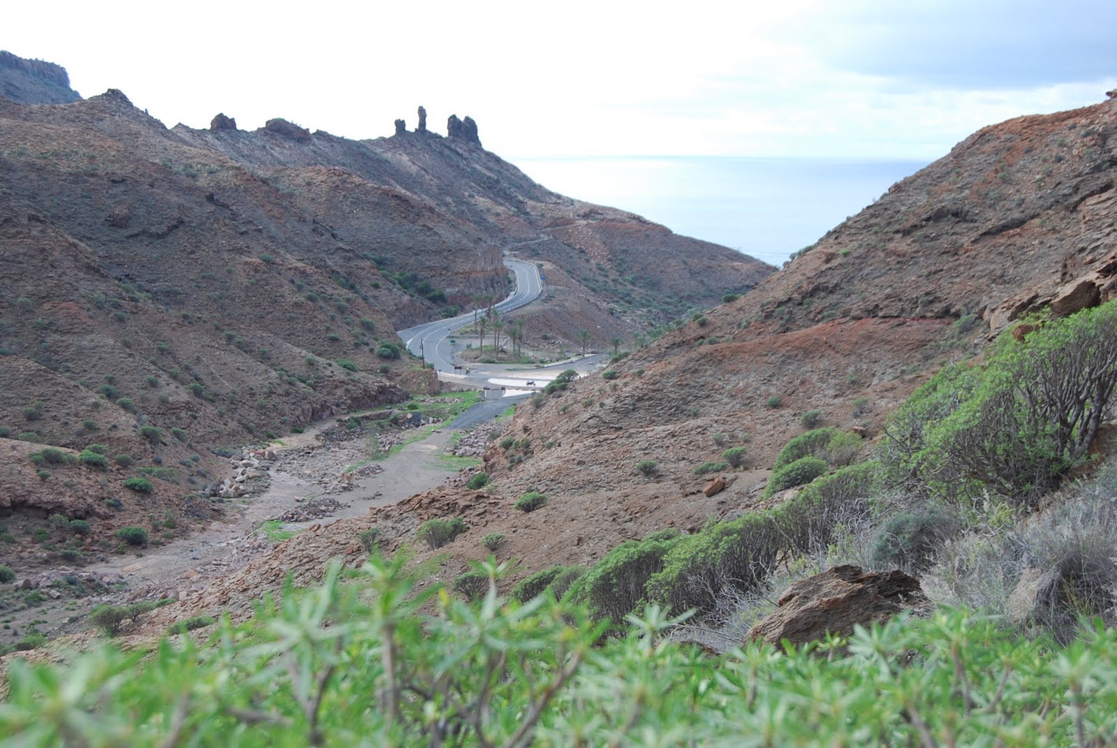 Mi Gran Canaria: MEDIOS ALMUDES, BARRANCO DE (MOGÁN)