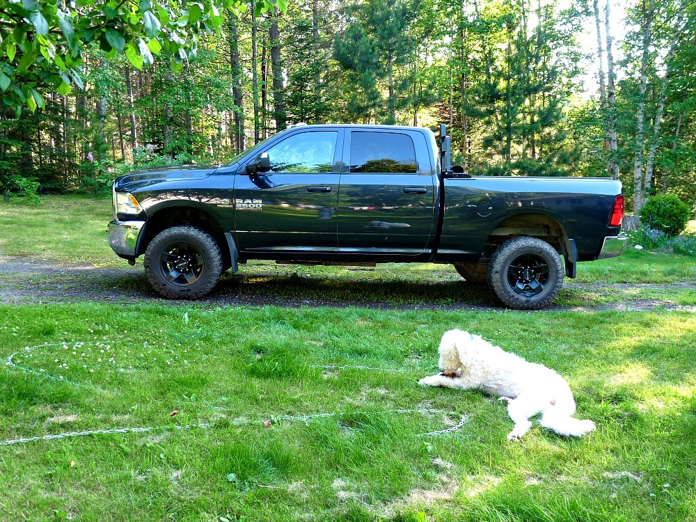 DIY Dog Platform for Back of Ram Truck Cab | Dans le Lakehouse