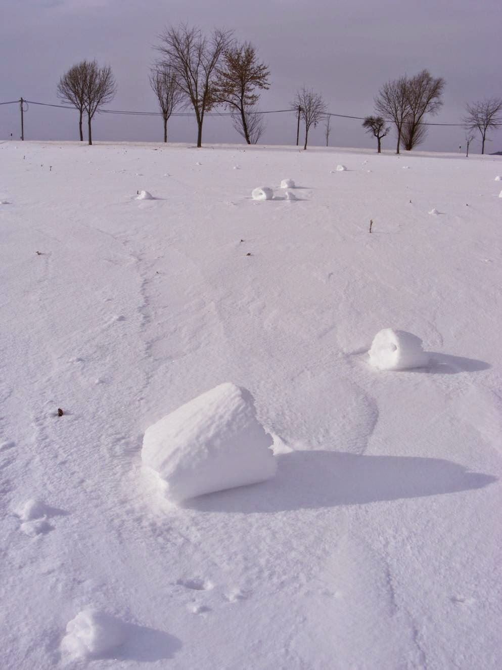 Snow Rollers: Nature’s Winter Treat ~ Kuriositas