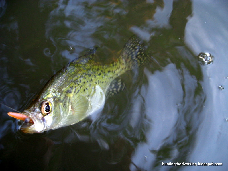 Fairmount Park Crappie Fishing - Hunting the River King