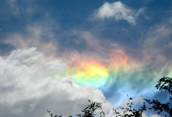 White Wolf : 'Fire rainbow' spotted over south Florida