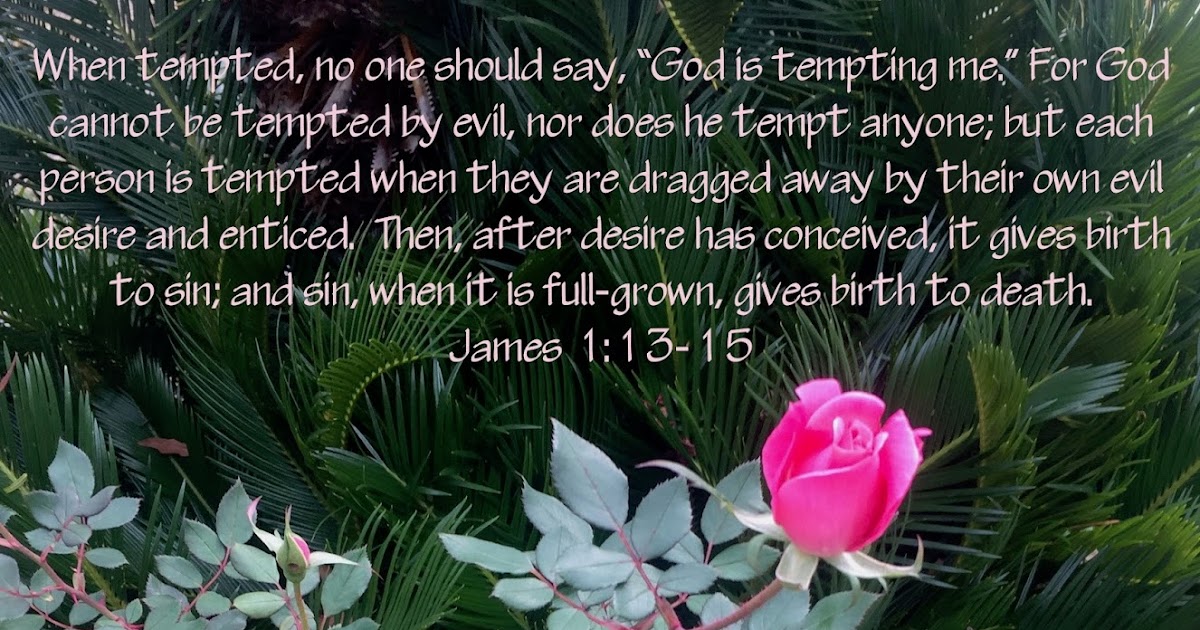 My Strength: James 1:13-15 - "Clean"