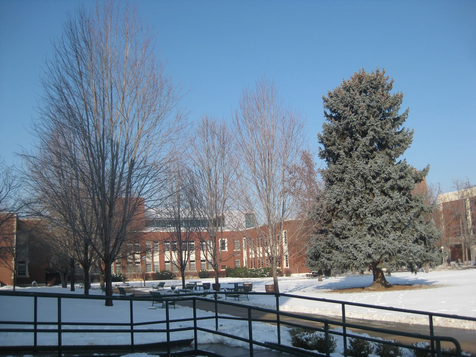 Living My American Dream: The Boise State University campus