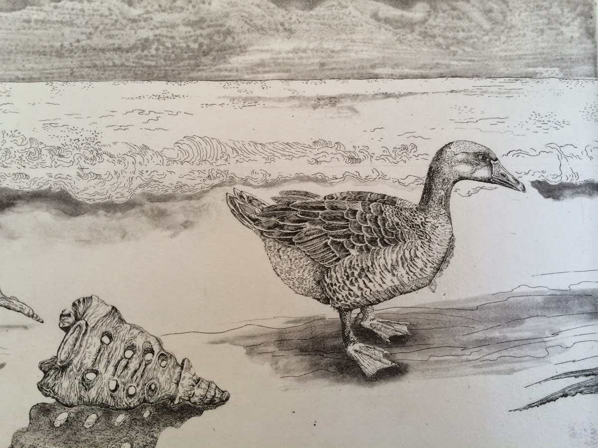 Golbanou Moghaddas: My Intaglio Printmaking Class This Fall at San ...