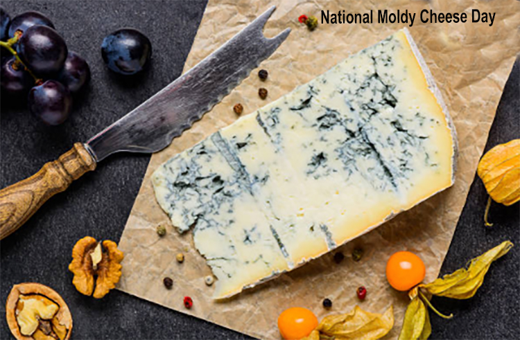Moldy Cheese Day