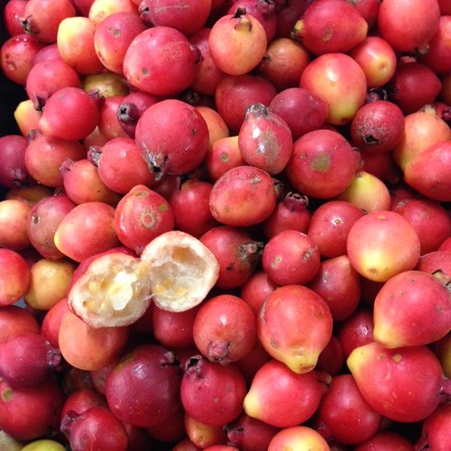 Somos Açores: Araças