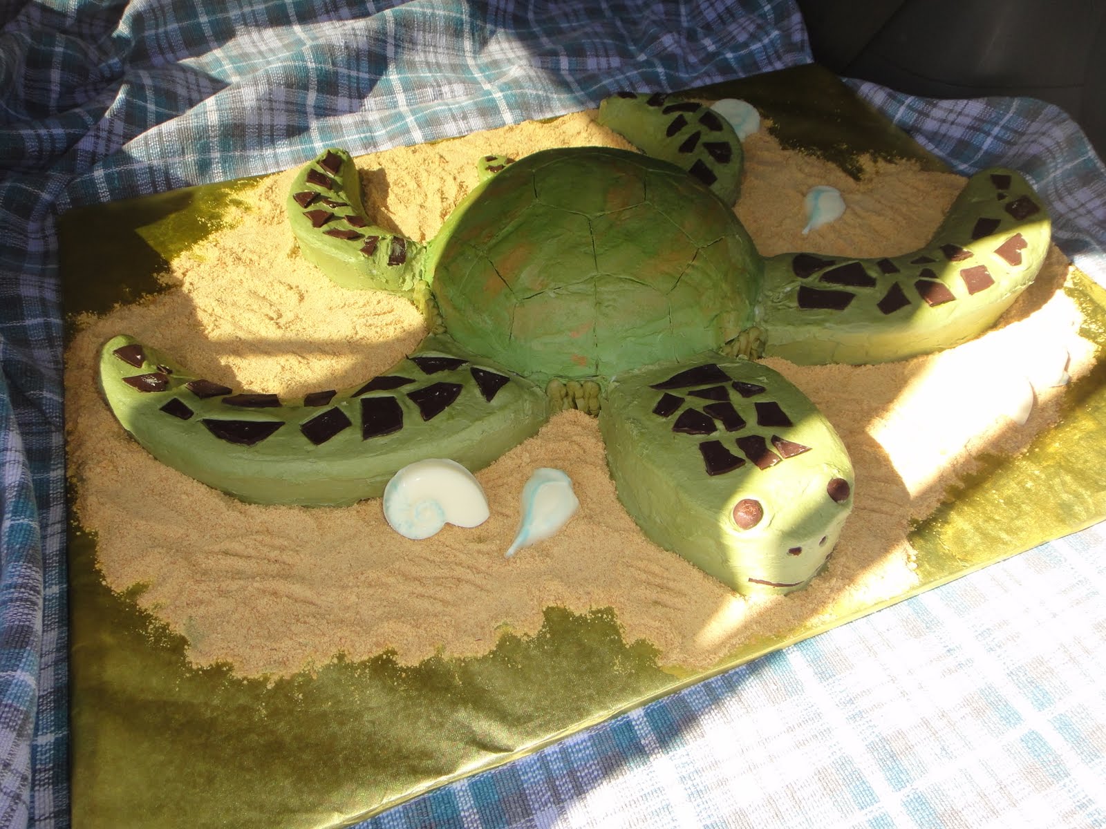 Kims Cakes and Crumbs: Sea Turtle Cake
