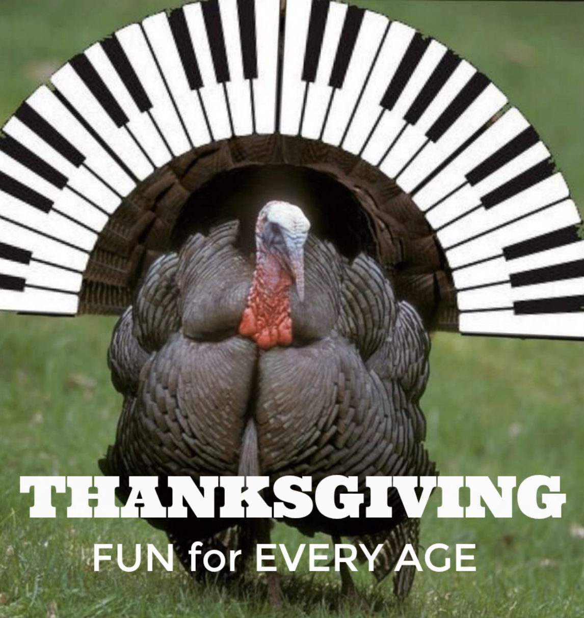 Making Musicians: Thanksgiving Fun: 5 Fat Turkeys!