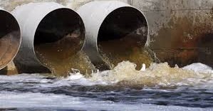 Effects of Dumping Sewage Water Directly Into the Sea,