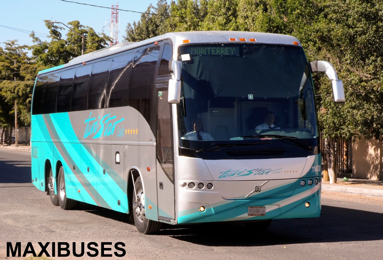 MAXIBUSES: TURISTAR LUJO
