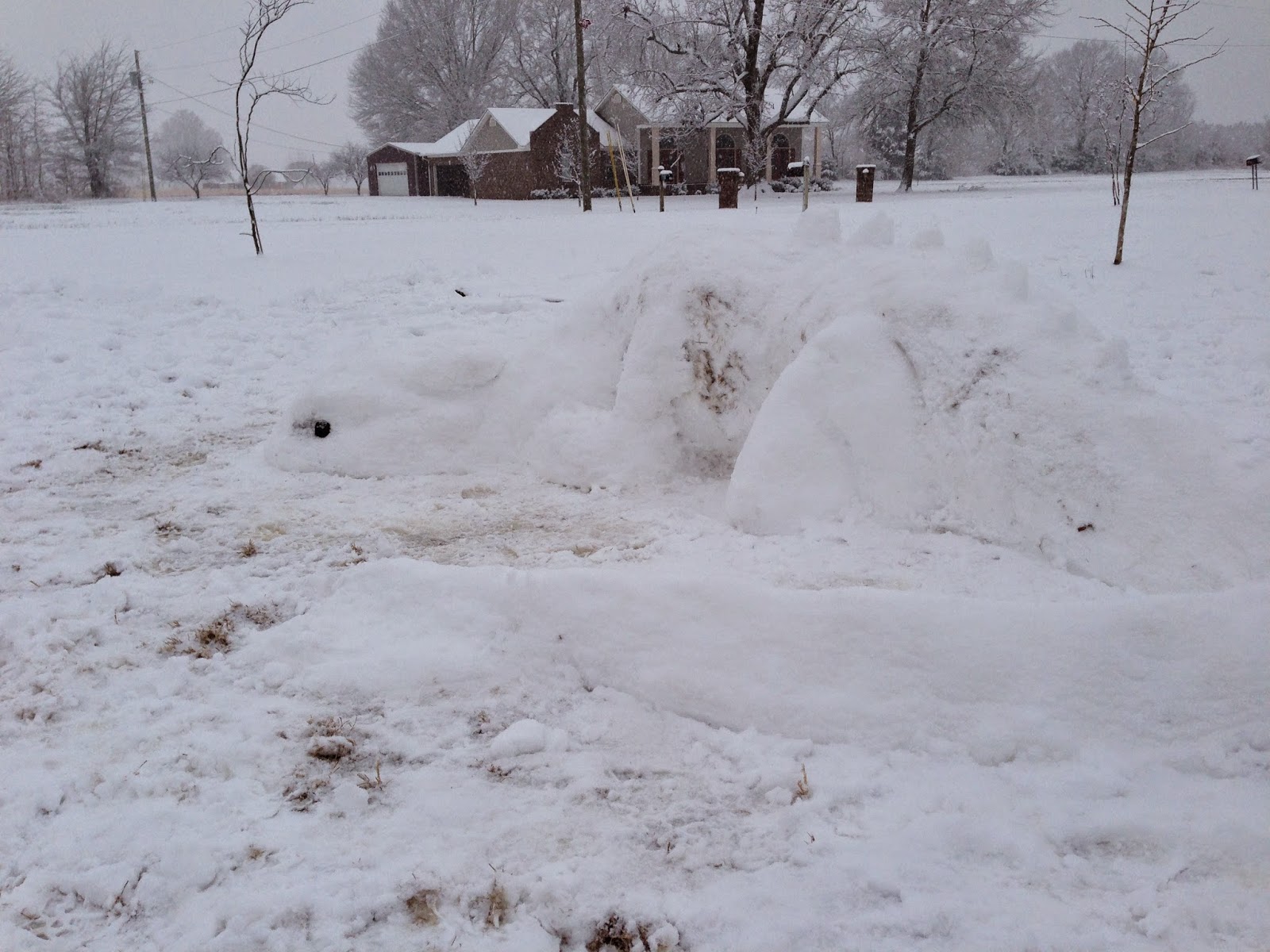 Toothless the Nightfury: Snow Toothless!