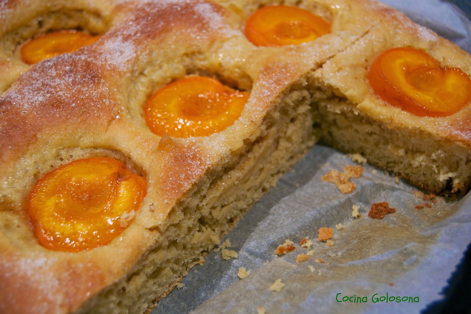 COCINA GOLOSONA: COCA DE PATATA CON ALBARICOQUES