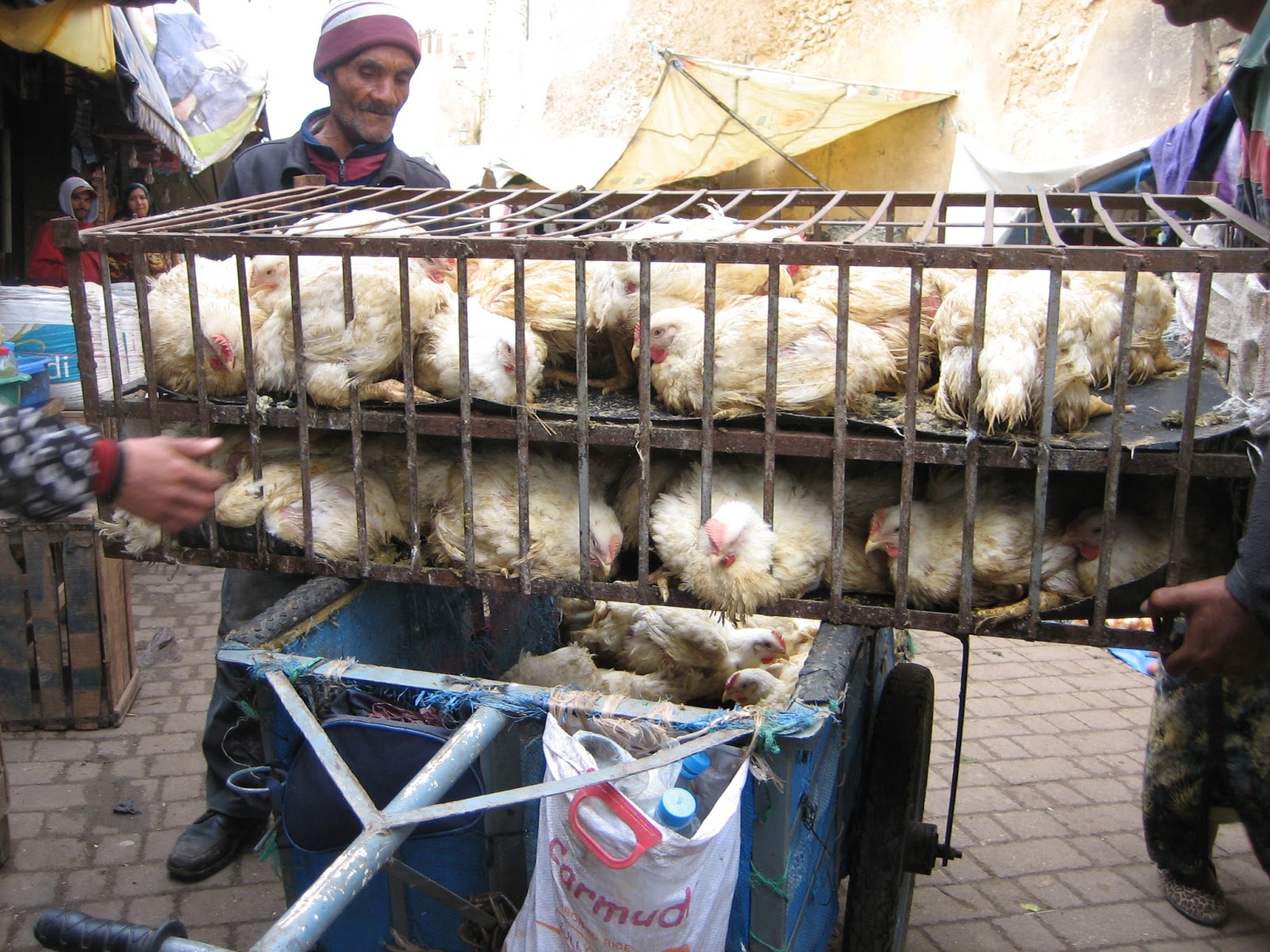 Lentil Breakdown: Animal, Vegetable, Minaret: Fez Medina, Part 2