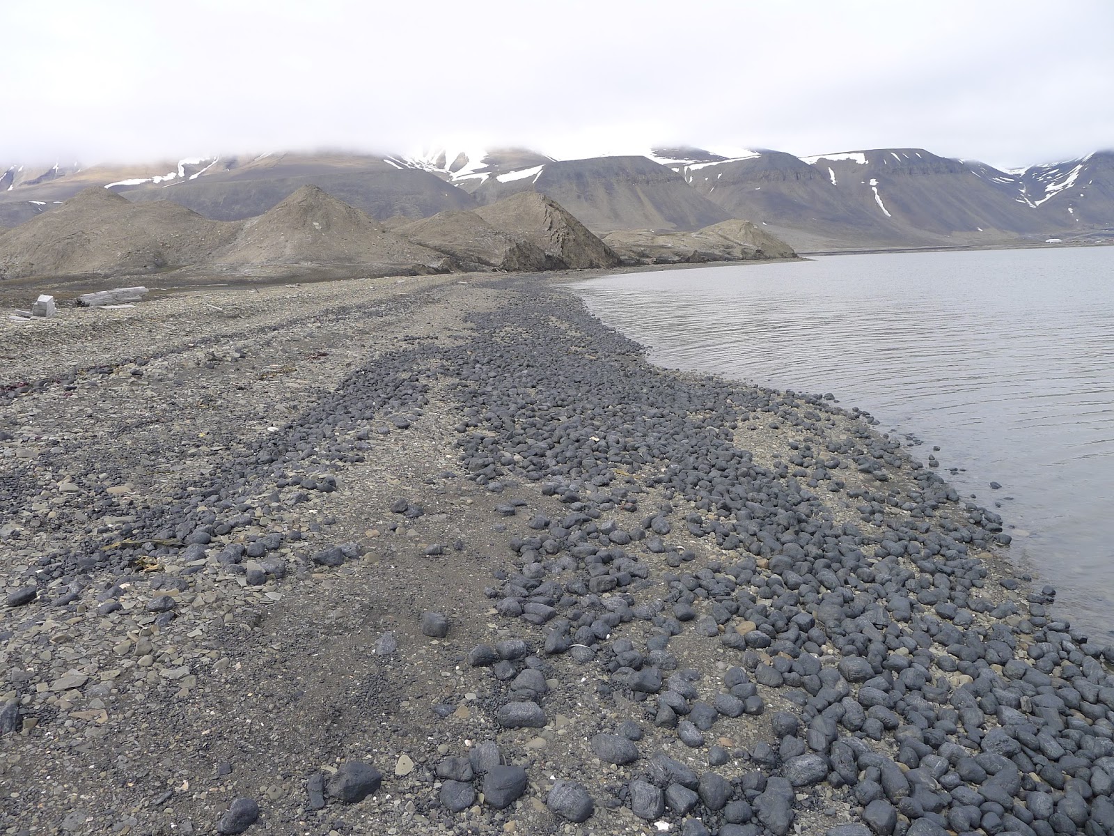 Summer Field Course in Svalbard, Norway: July 17, 2013 - Week 3 in Svalbard