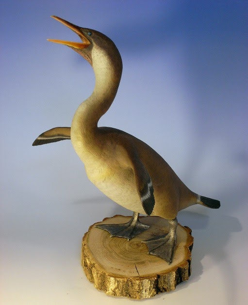 Hirokazu Tokugawa's Paleo Sculpture: Copepteryx(Plotopteridae)(2011 )