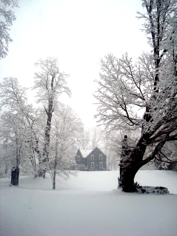 Pixie Hill: A cold & more specimens