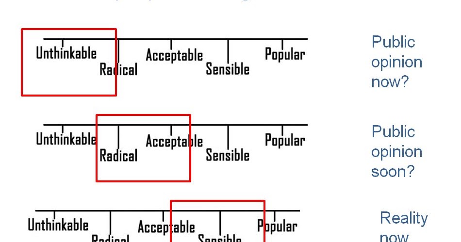 Ann's Autism Blog: Autism and Acceptance: The 'Overton Window'