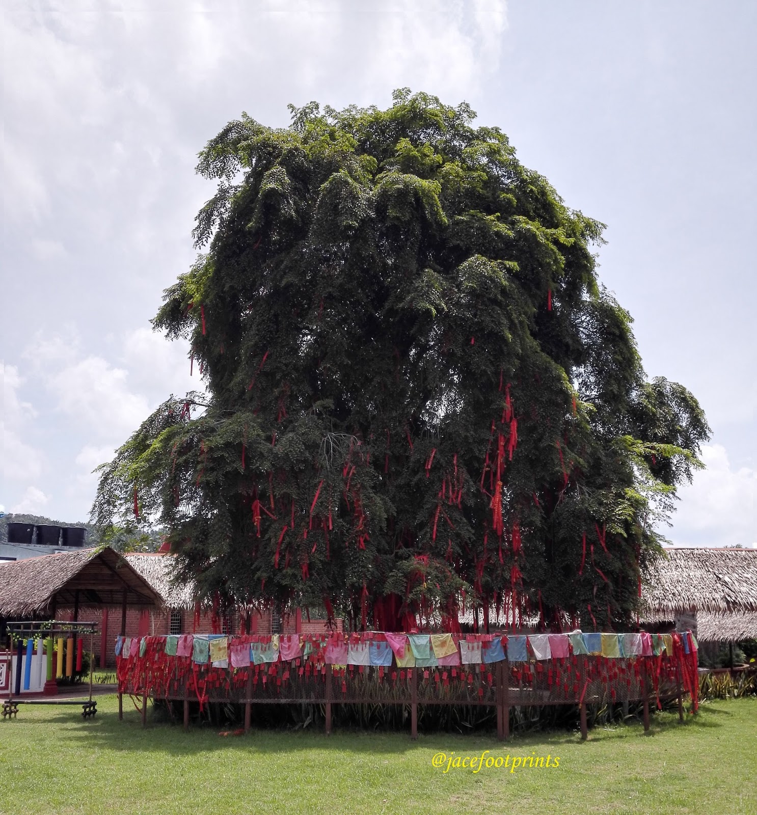 [Jb, Malaysia] PuTuo Village 小普陀古来 - Just Another Delicious Experience ...