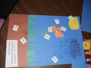 Mrs. Stuart's Munchkin Land!: Flower Garden in the Classroom