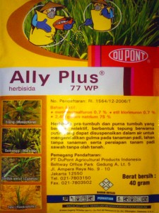 Bintang Tani: Ally Plus