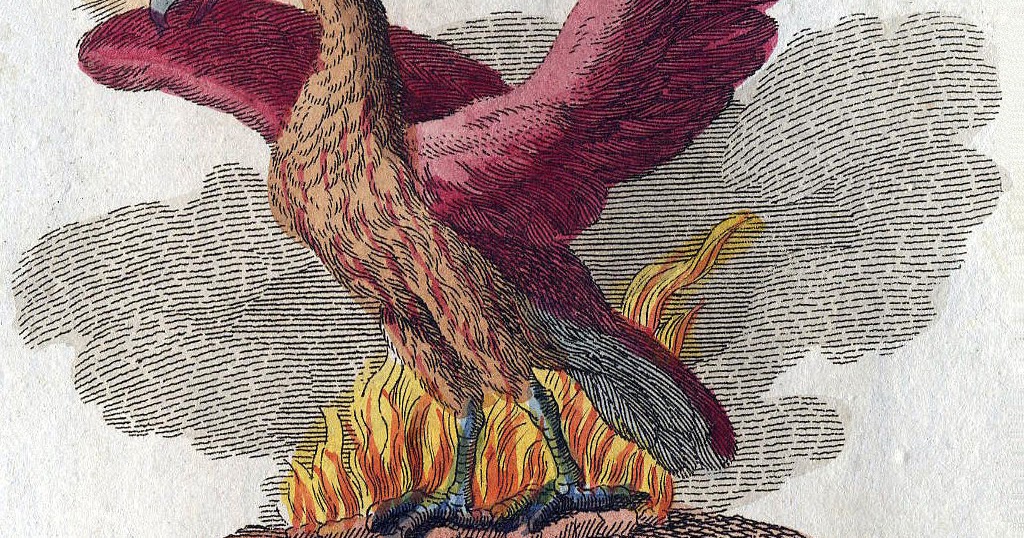 Gnostic Esoteric Study & Work Aids: Ave Fenix – Phoenix Bird – (2684)
