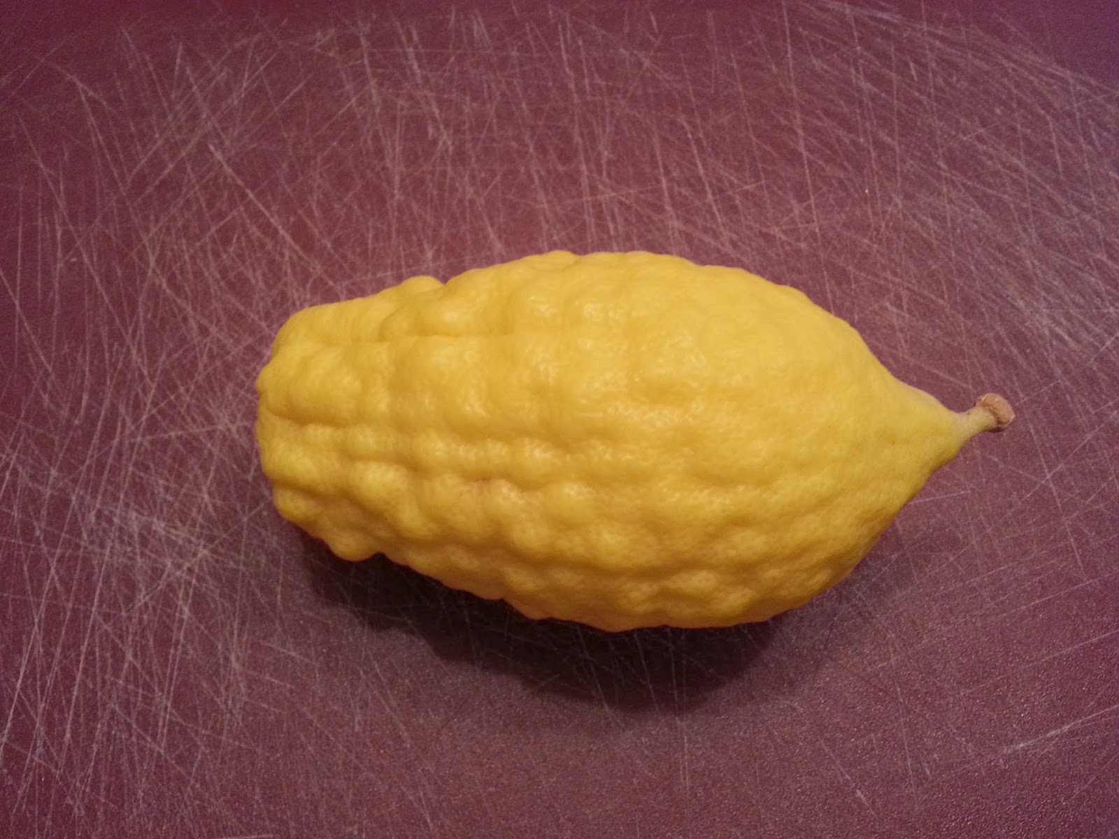 Ben's Journal: Finally Putting an Etrog To Use