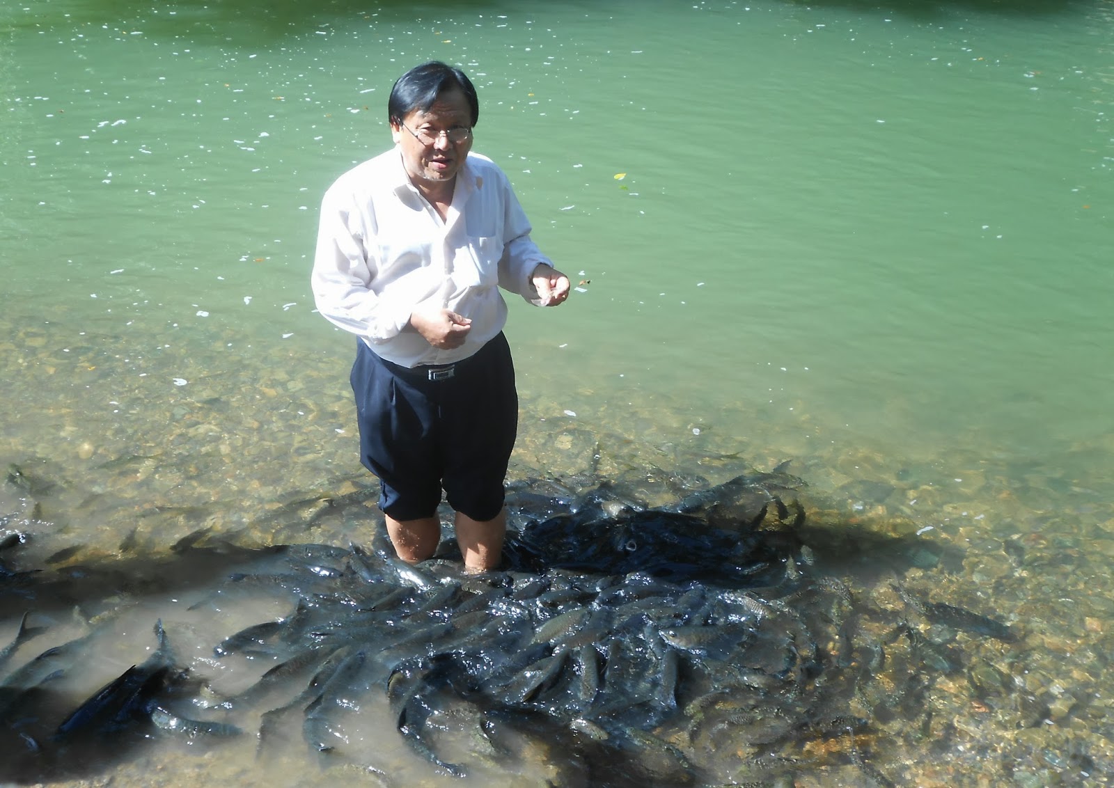 FREELITTLEBRAIN: Fish SPA in Sabah -Tagal Sungai Moroli, Kg Luanti Baru