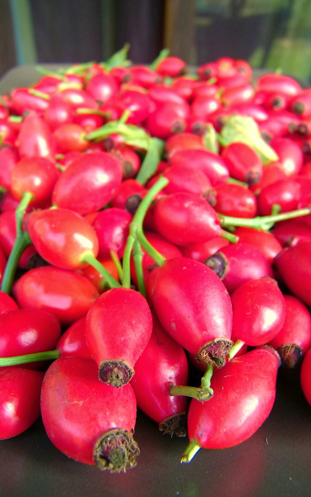 La Clematide : Bacche di rosa canina