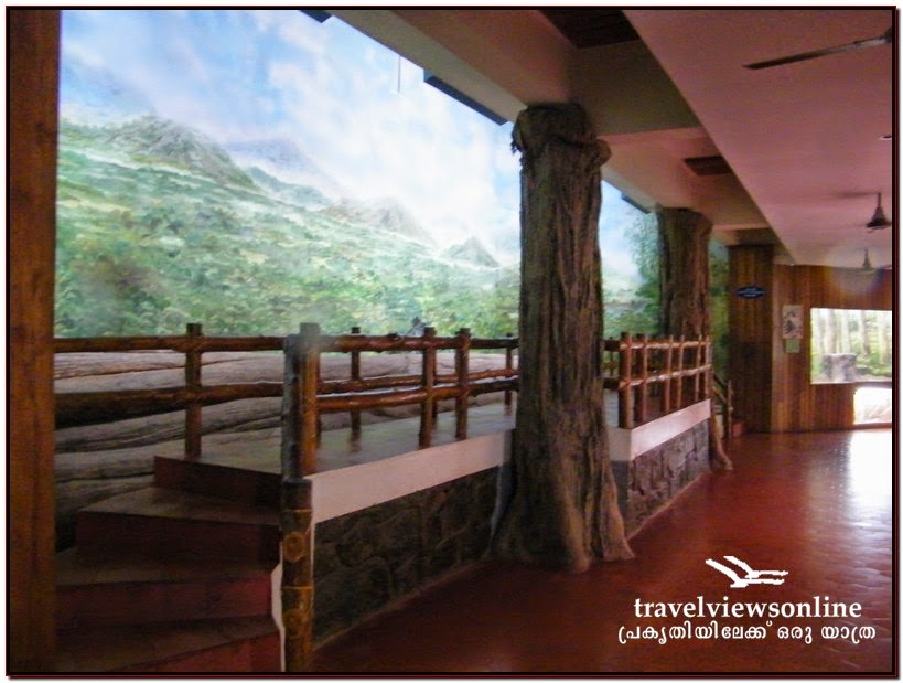 പ്രകൃതിയിലേക്ക് ഒരു യാത്ര (a travel towards NATURE): TEAK MUSEUM ...