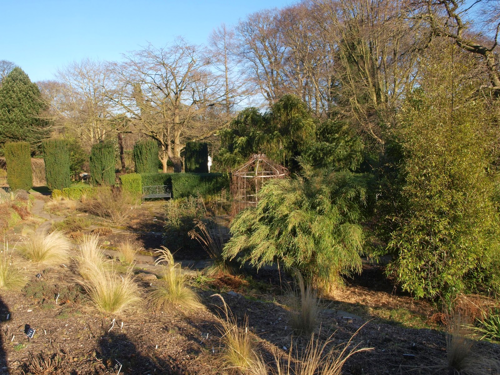 Ragged Robin's Nature Notes: Winterbourne House Gardens (Fleeting Visit ...